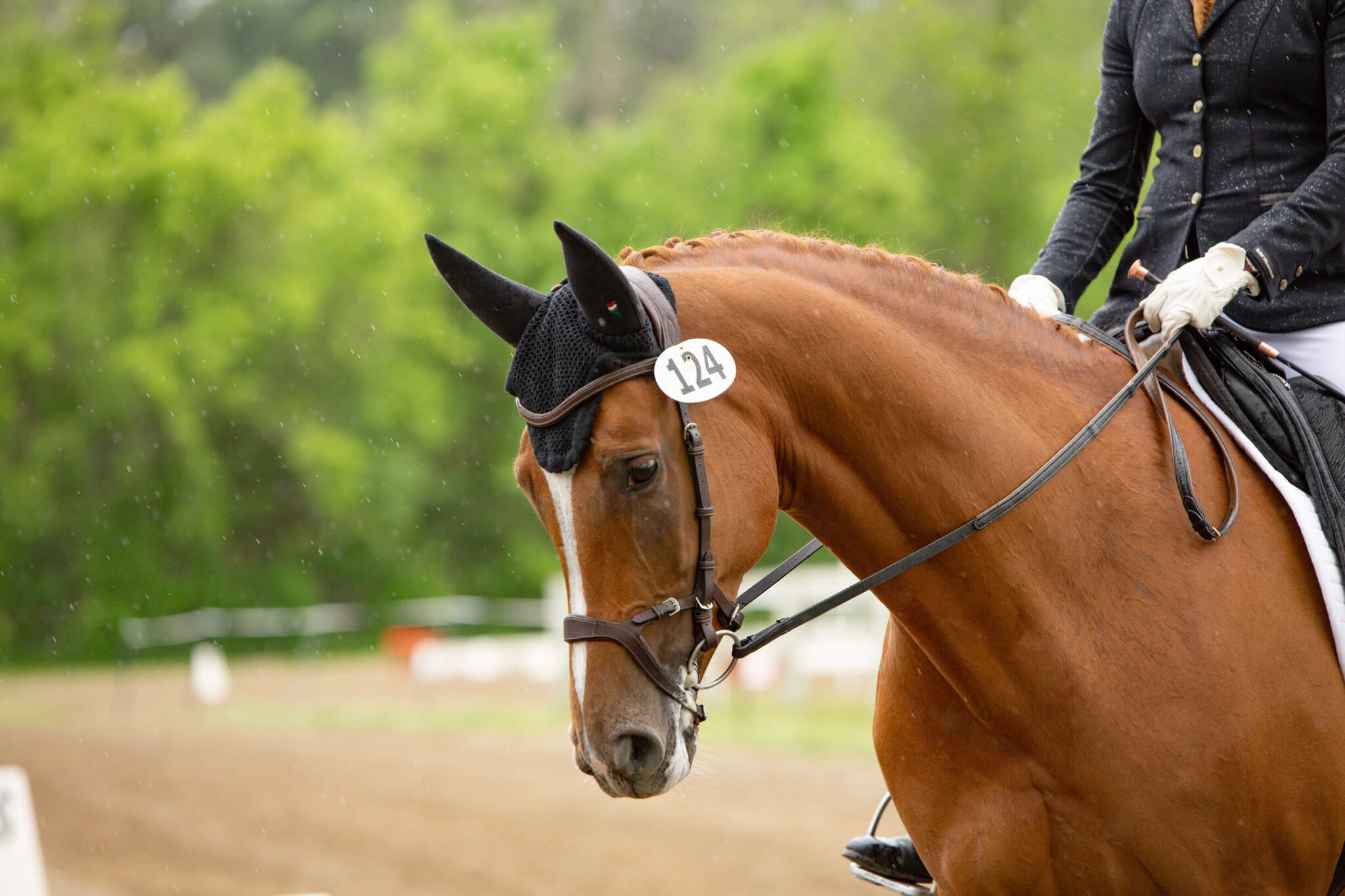 Homepage - Canterbury Stables